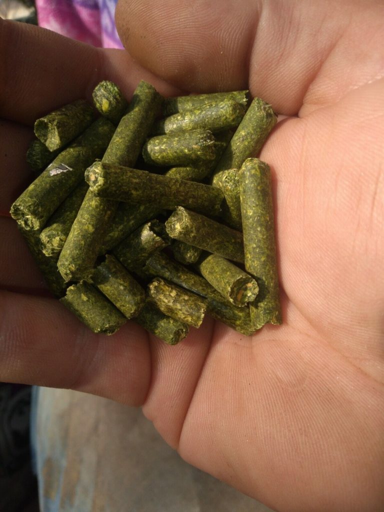 Buy Wholesale Alfalfa Hay Pellets - Bs Sariyavuz Exporters